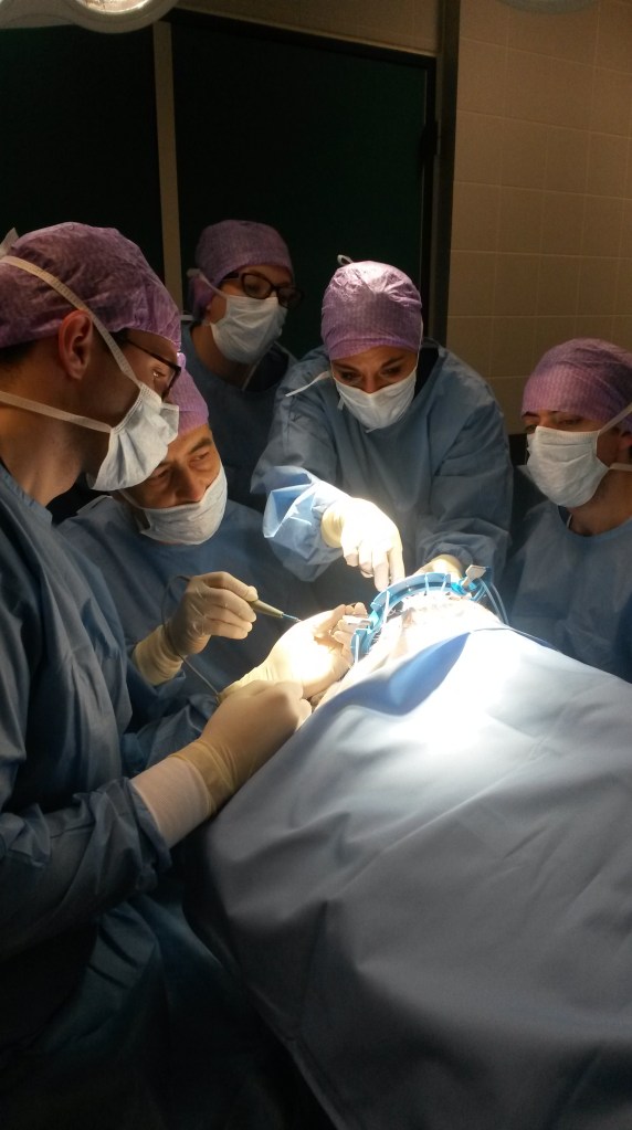 Pediatric surgery courses – Pediatric surgical courses with hands-on ...